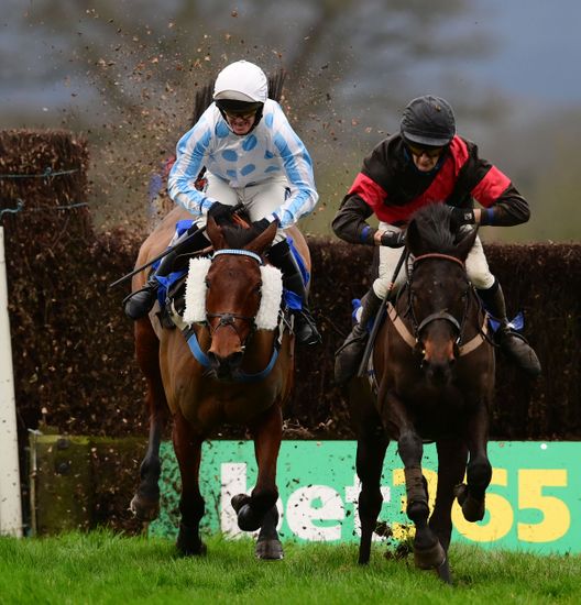 Race Winner Kingsmill Gin Ridden By Editorial Stock Photo - Stock Image ...