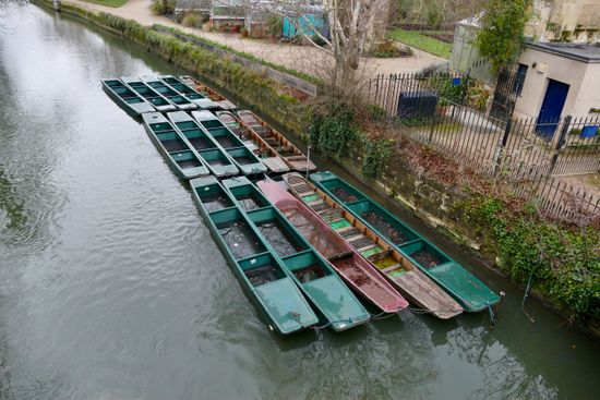 Punts Filled Rainwater Christchurch Meadows Editorial Stock Photo ...