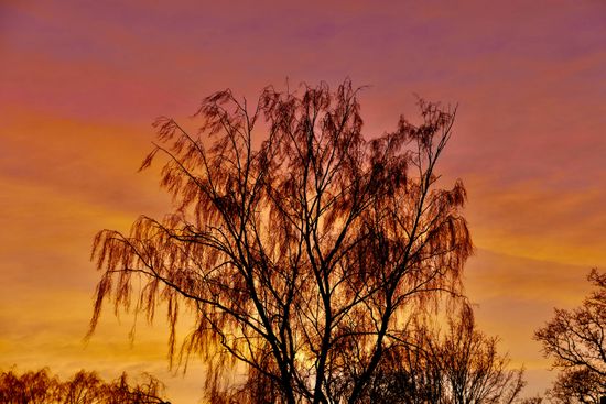 Pretty Pastel Skies Last Light Editorial Stock Photo - Stock Image ...