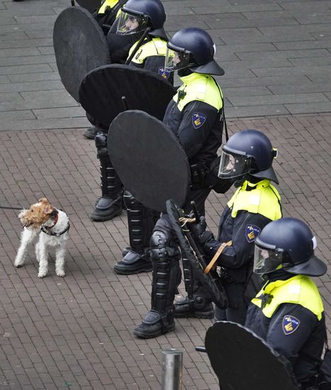 Dutch Police Riot Gear Dog Watch Editorial Stock Photo - Stock Image ...