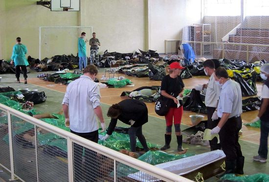 Brazilian Forensic Civil Defence Workers Check Editorial Stock Photo ...