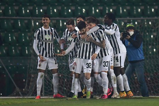 Ascoli Calcio After Goal Player Fabrizio Editorial Stock Photo - Stock ...