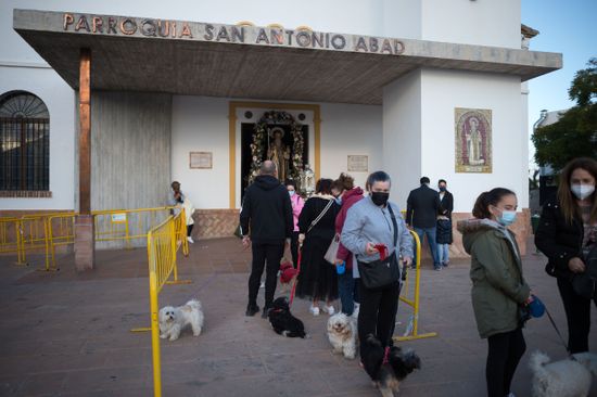 People Seen Waiting Queue Their Pets Editorial Stock Photo - Stock ...