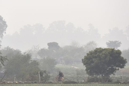 View Field Shrouded Smog On January Editorial Stock Photo - Stock Image ...