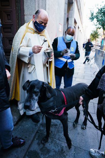 Priest Seen Blessing Dog Tradition San Editorial Stock Photo - Stock ...
