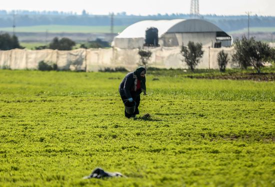 Farmer Works On Farm Near Fence Editorial Stock Photo - Stock Image ...