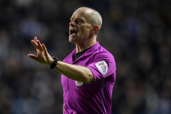 Referee Andy Woolmer Editorial Stock Photo - Stock Image | Shutterstock