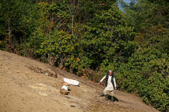 Farmer Plant Potatoes On Slopes Their Editorial Stock Photo - Stock ...