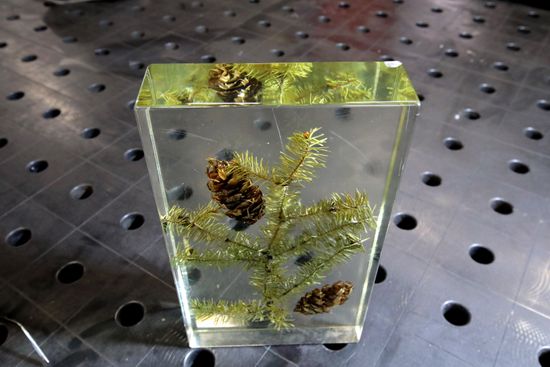 Slab Epoxy Resin Branch Ukrainian Pine Editorial Stock Photo - Stock ...