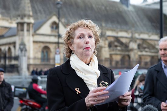 Former Labour Mp Hayes Harlington Shadow Editorial Stock Photo - Stock ...