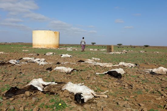 Pastoralist C Local Gabra Community Walks Editorial Stock Photo - Stock ...