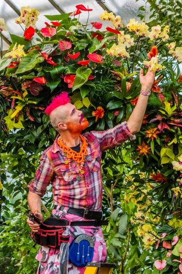 Henck Roling House Florist Makes Final Editorial Stock Photo - Stock ...