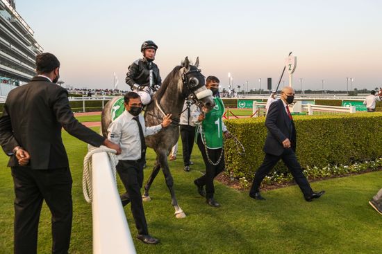 Af Alajaj Fr Ridden By Tadhg Editorial Stock Photo - Stock Image ...