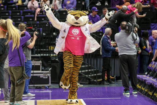 Lsus Mascot Mike Tiger Comes Out Editorial Stock Photo - Stock Image ...