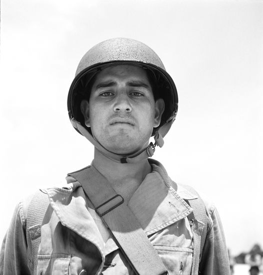 Head Shoulders Portrait Enlisted Man Air Editorial Stock Photo - Stock ...