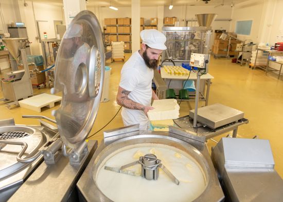 Cancoillotte Cheese Made Milk Montbeliard Cows Editorial Stock Photo ...