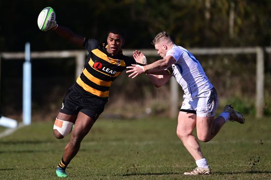 Eparama Rokodrava Wasps Action Editorial Stock Photo - Stock Image ...
