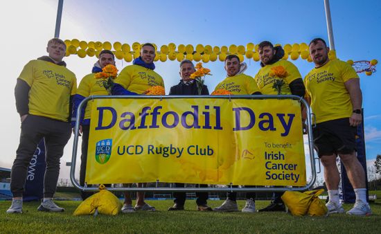 Ucd Rugby Will Host Annual Daffodil Editorial Stock Photo - Stock Image ...
