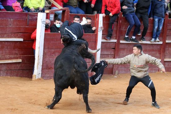Person Tossed By Bull During Fifth Editorial Stock Photo - Stock Image ...