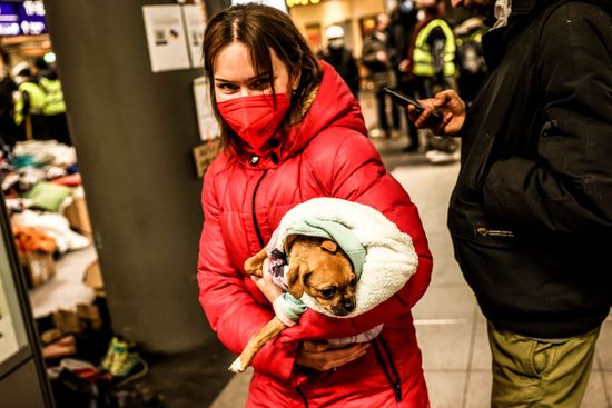 Ukraine Refugee Carries Dog She Arrives Editorial Stock Photo - Stock ...