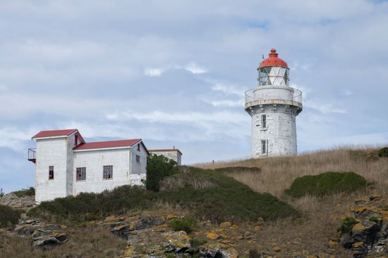 Taiaroa Head Lighthouse Seen Next Albatross Editorial Stock Photo ...