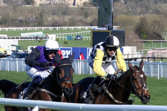 Nice Guy 17 Ridden By Sean Editorial Stock Photo - Stock Image ...