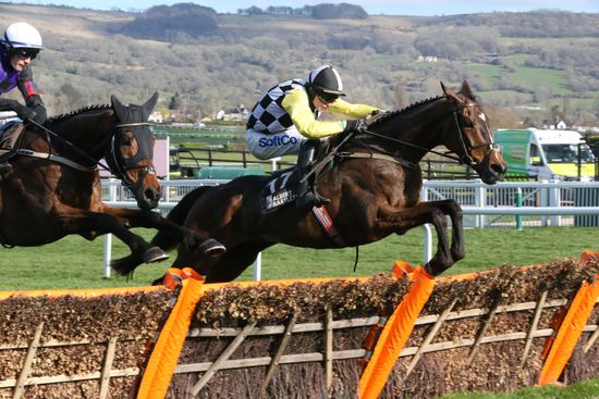Nice Guy 17 Ridden By Sean Editorial Stock Photo - Stock Image ...