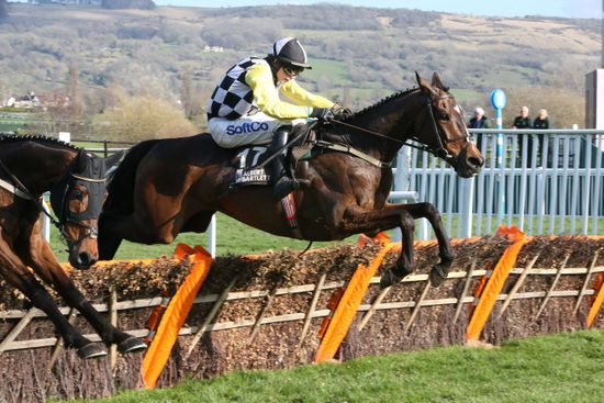 Nice Guy 17 Ridden By Sean Editorial Stock Photo - Stock Image ...