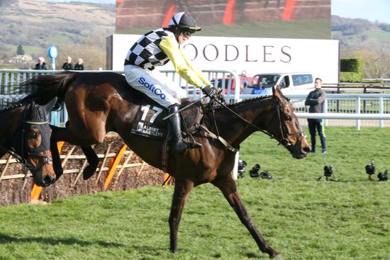 Nice Guy 17 Ridden By Sean Editorial Stock Photo - Stock Image ...