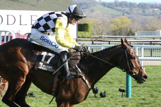 Nice Guy 17 Ridden By Sean Editorial Stock Photo - Stock Image ...