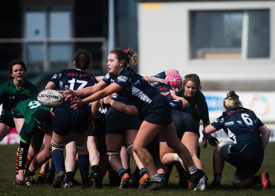 Westport Rfc Vs Sligo Rfc Westports Editorial Stock Photo - Stock Image ...