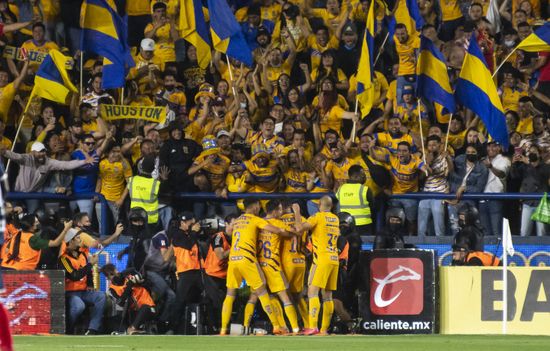 Players Tigres De Uanl Celebrate Goal Editorial Stock Photo - Stock ...