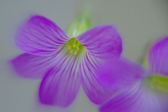 On March 25 2022 Jilin Spring Editorial Stock Photo - Stock Image ...