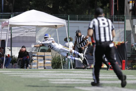 Rodnell Cruell Reyes Tries Catch Ball Editorial Stock Photo - Stock ...