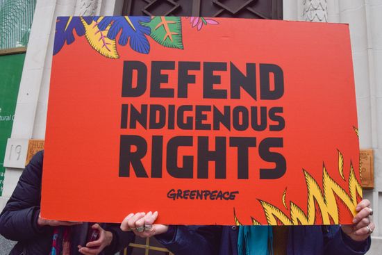 Protester Holds Defend Indigenous Rights Placard Editorial Stock Photo ...