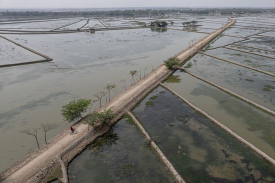 Top View Shrimp Field Has Seen Editorial Stock Photo - Stock Image ...