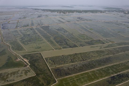 Top View Shrimp Field Has Seen Editorial Stock Photo - Stock Image ...
