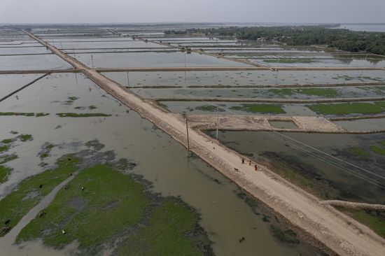 Top View Shrimp Field Has Seen Editorial Stock Photo - Stock Image ...