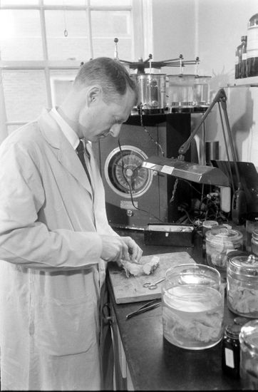 Dr Thomas Harvey 1912 2007 Pathologist Editorial Stock Photo - Stock ...
