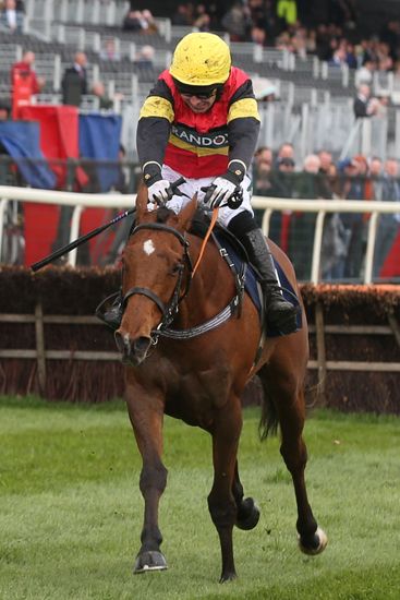 Knight Salute 5 Yellow Cap Ridden Editorial Stock Photo - Stock Image ...