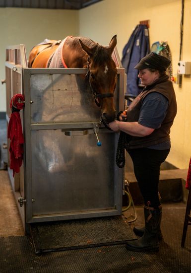 Dan Skelton Racing Stables Prepare Grand Editorial Stock Photo - Stock ...