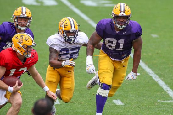 Lsu Defensive Lineman Bryce Langston 81 Editorial Stock Photo - Stock ...