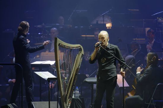 Breton Singer Composer Alan Stivell Accompanied Editorial Stock Photo ...