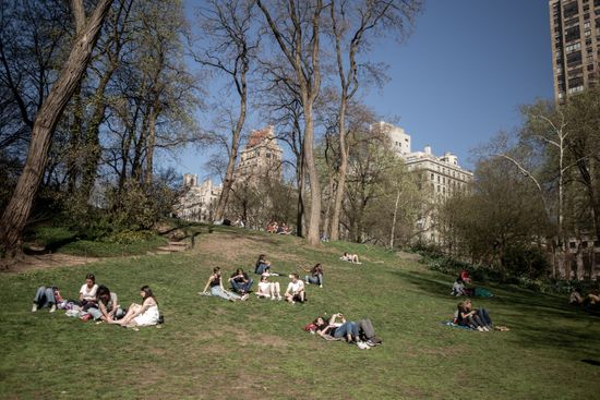 People Enjoying Spring Cherry Blossom Central Editorial Stock Photo ...