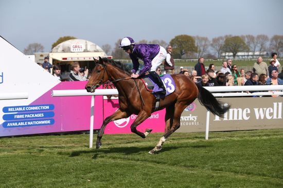 Primrose Ridge 13 Ridden By Rossa Editorial Stock Photo - Stock Image ...