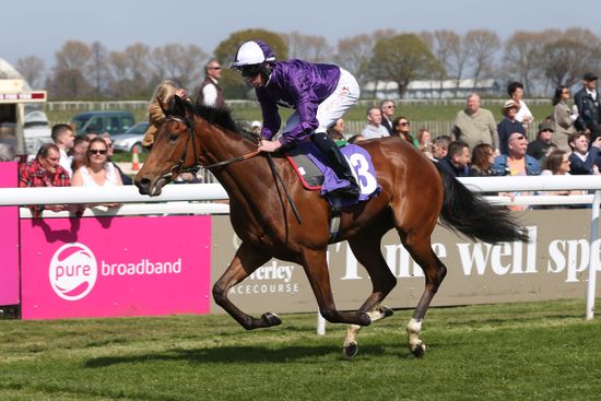 Primrose Ridge 13 Ridden By Rossa Editorial Stock Photo - Stock Image ...