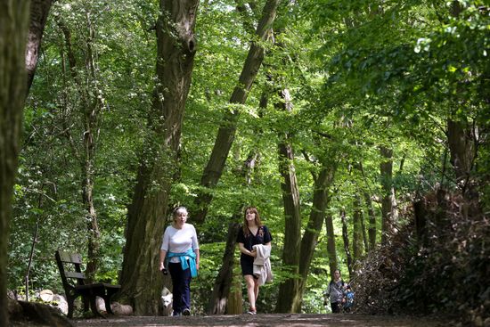 Women Walking Highgate Wood North London Editorial Stock Photo - Stock ...