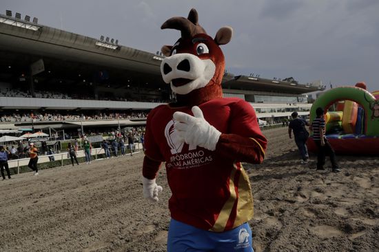 Botarga Takes Part During Botargas Race Editorial Stock Photo - Stock ...