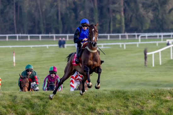 Kildare Hunt Club Cross Country Steeplechase Editorial Stock Photo ...