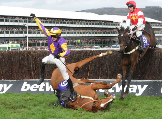 National Hunt Horse Racing 2020 Cheltenham Editorial Stock Photo ...